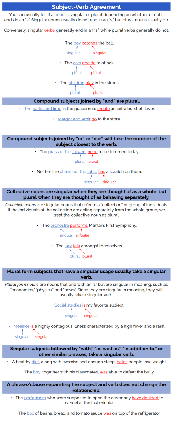 Detailed ACT Grammar Practice | Piqosity - Pique Curiosity!