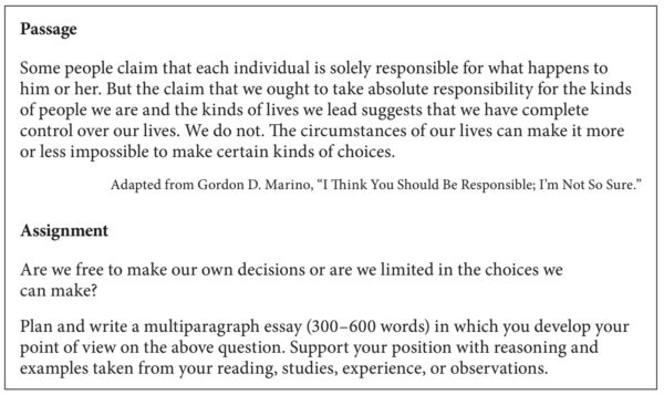 TSI Essay Examples, Grading, and Passing Tips - Piqosity - Adaptive ...